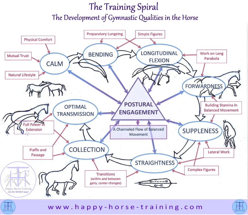 HHT Dressage Diagrams